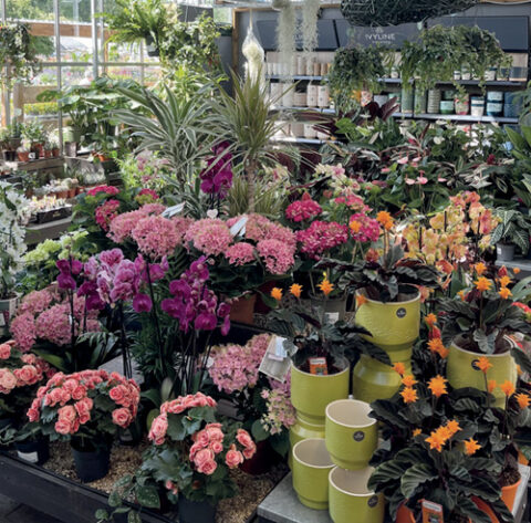 Fairways Matlock | Fairways Garden Centre